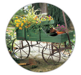 Home Decor Catalog | Gifts, Apparel, & Accessories | Collections Etc.