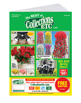 Shop Our Virtual Catalogs | Collections Etc.