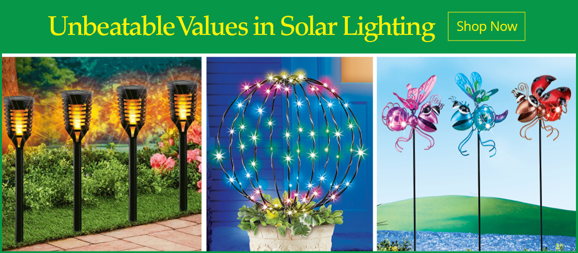 Home Decor Catalog | Gifts, Apparel, & Accessories | Collections Etc.