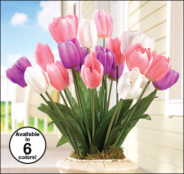 Home Decor Catalog | Gifts, Apparel, & Accessories | Collections Etc.