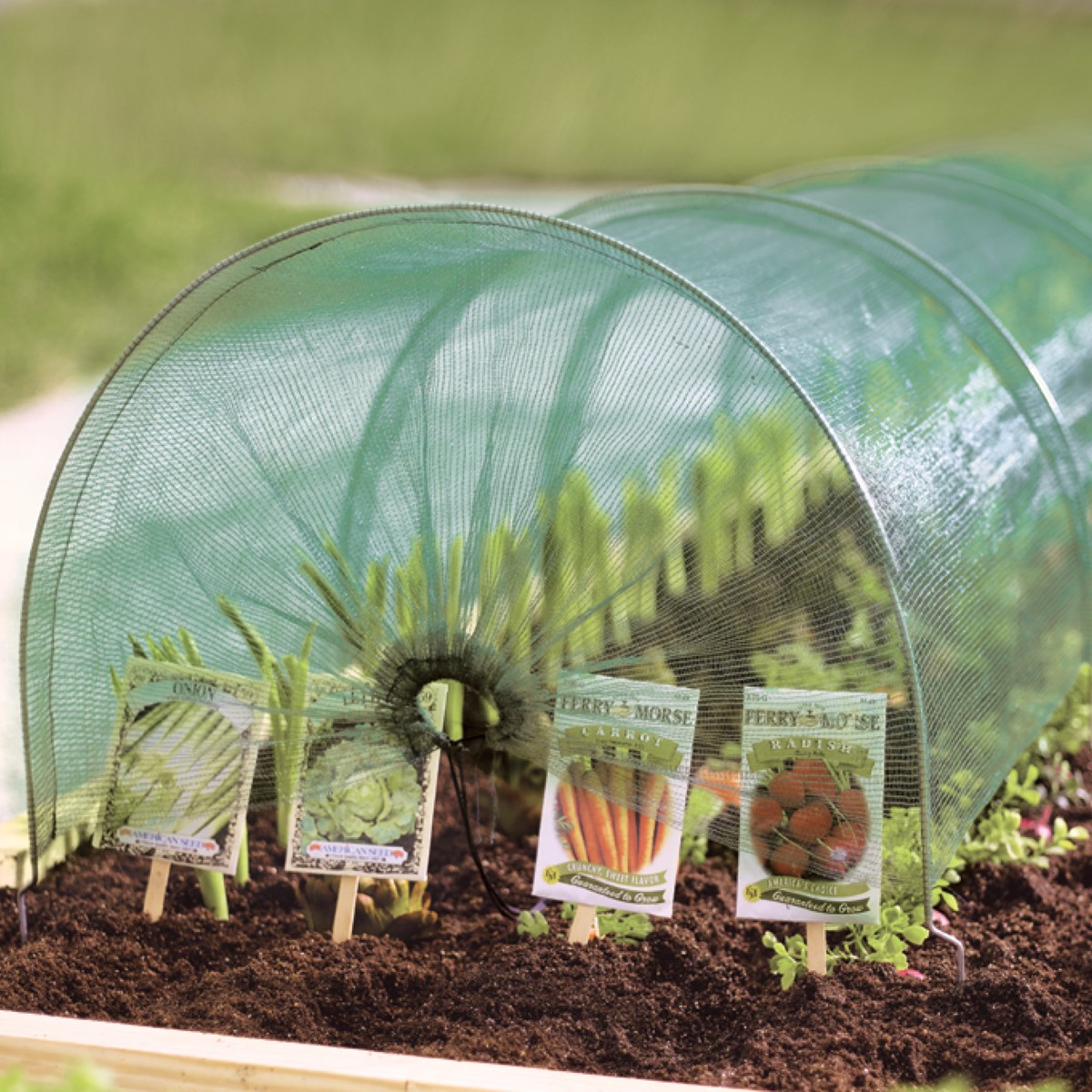 Net Mini Greenhouse Plant Protector Cover | Collections Etc.
