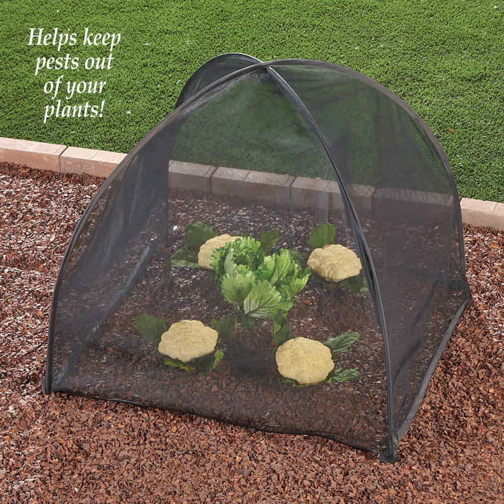 Animal Pest Control Mesh Cover | Collections Etc.