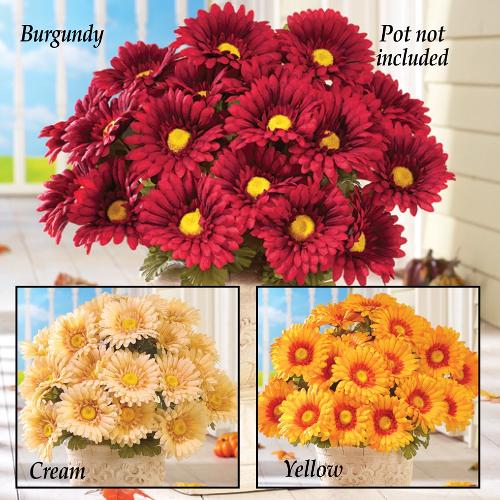 Faux Autumn Daisies - Set of 3 Bushes | Collections Etc.