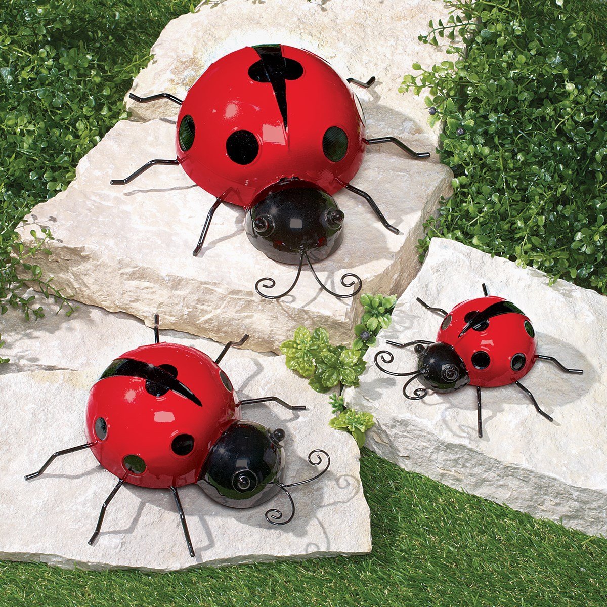 Climbing Insects Decoration - Set of 3 | Collections Etc.
