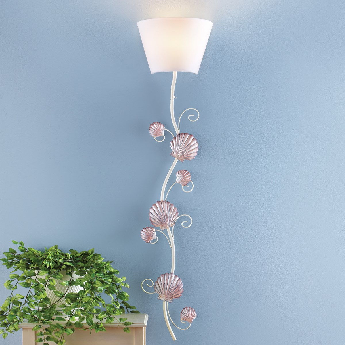 Climbing Seashell Wall Lamp | Collections Etc.