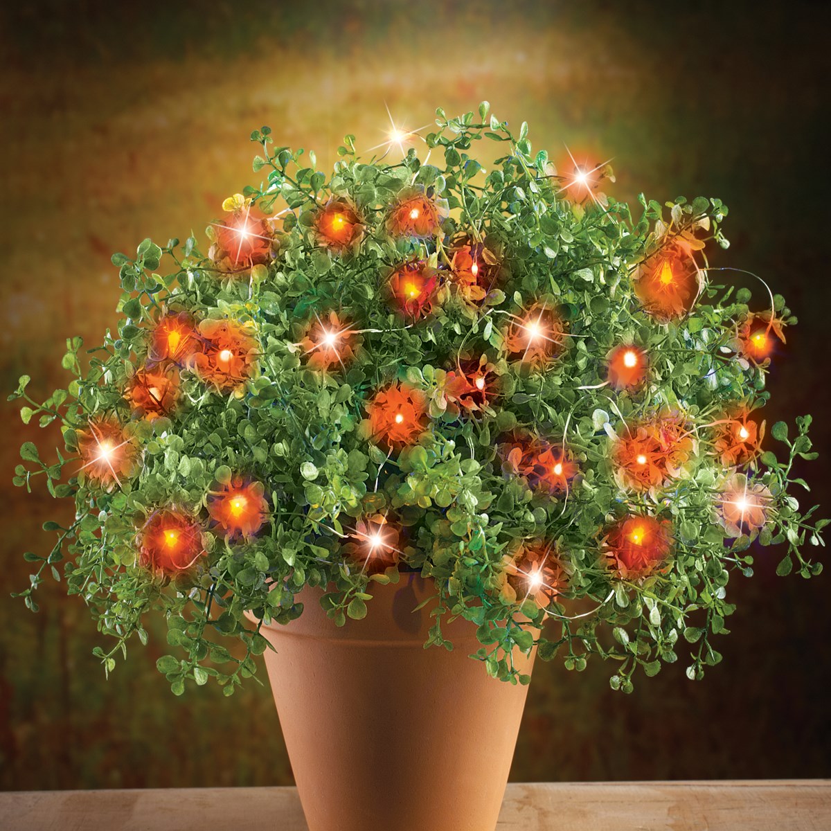 LED Multi Function String Lights | Collections Etc.