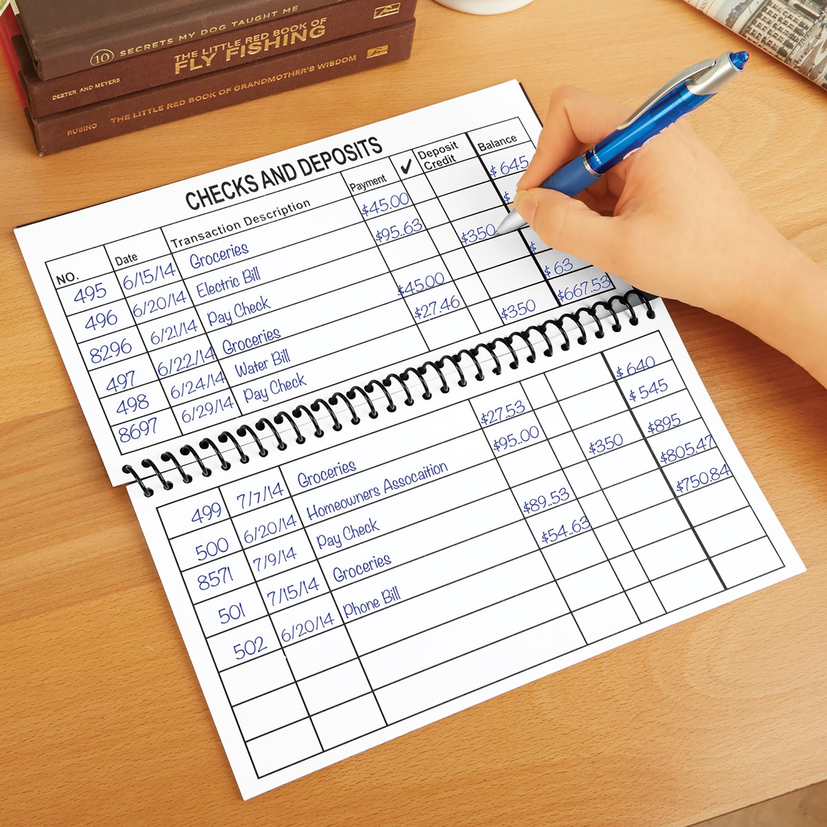 Jumbo Print Check Register Book | Collections Etc.