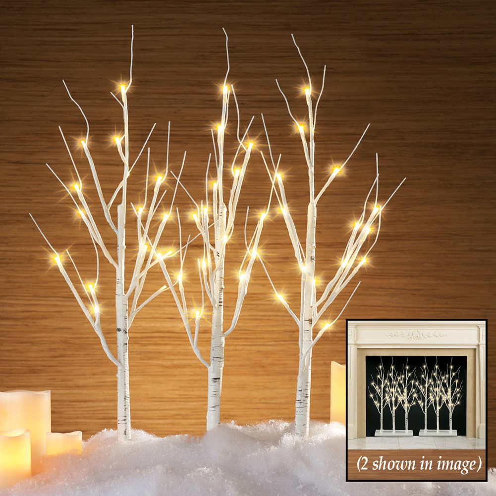 LED Lighted Birch Branches with Stand | Collections Etc.