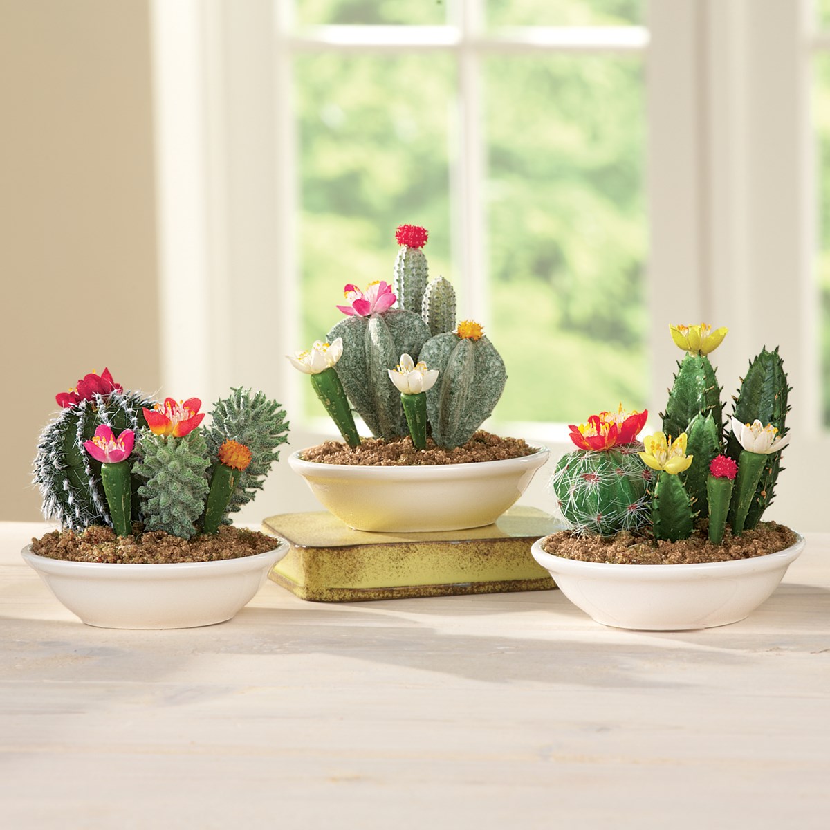 Faux Flowering Miniature Cactus in Ceramic Pots 3-Piece Set ...