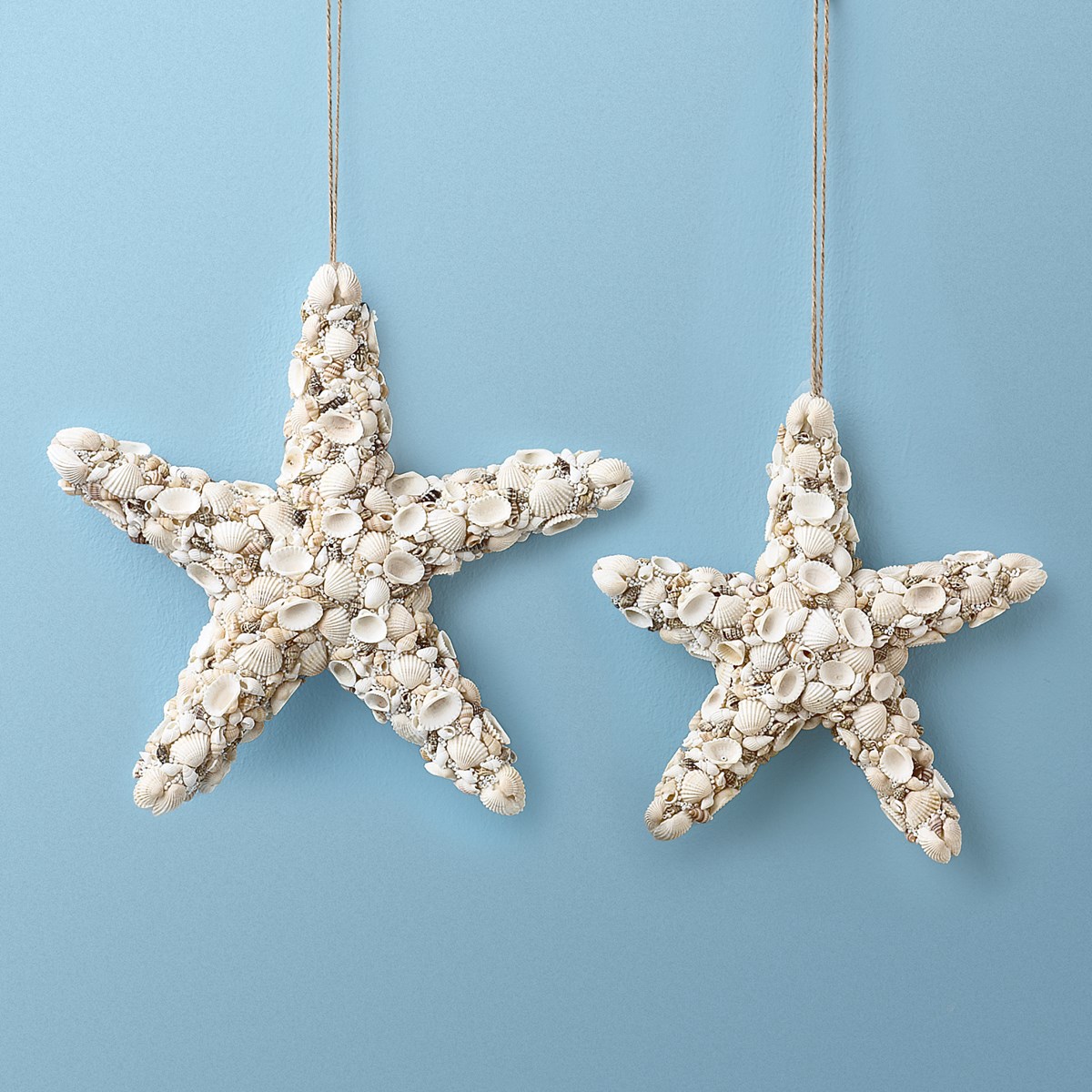 Set of 2 Shell Starfish Hanging Wall Decor | Collections Etc.