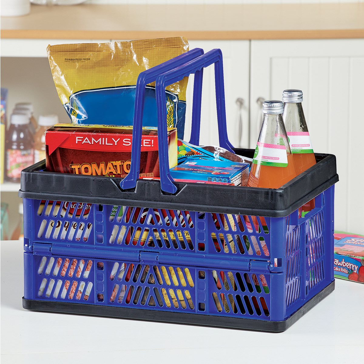 Collapsible Storage Crate | Collections Etc.