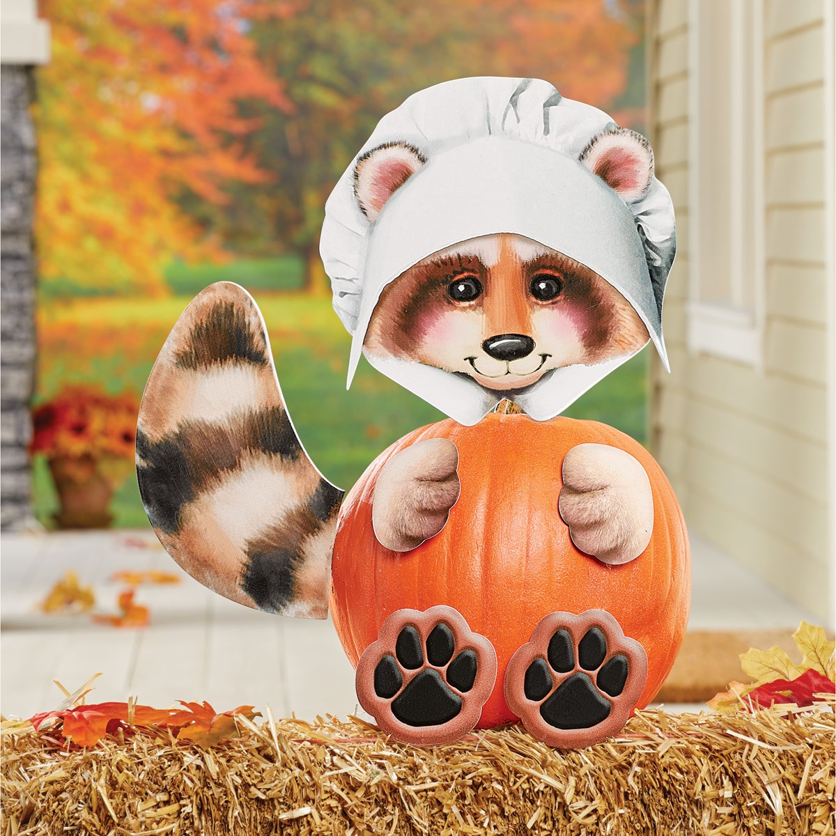Raccoon Poke Ins Pumpkin Decorating Kit for Fall | Collections Etc.