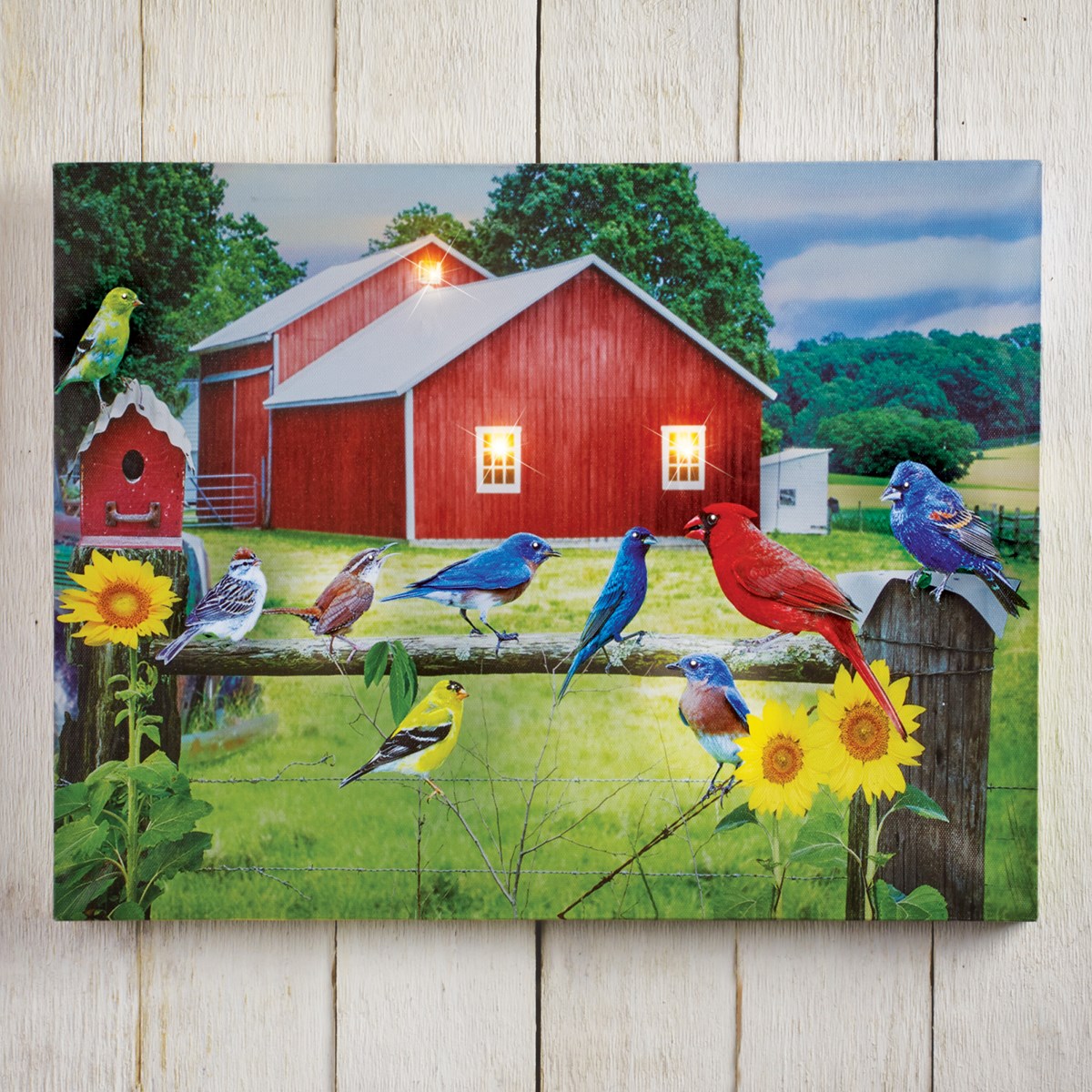 Lighted LED Farm Birds Canvas Wall Art | Collections Etc.