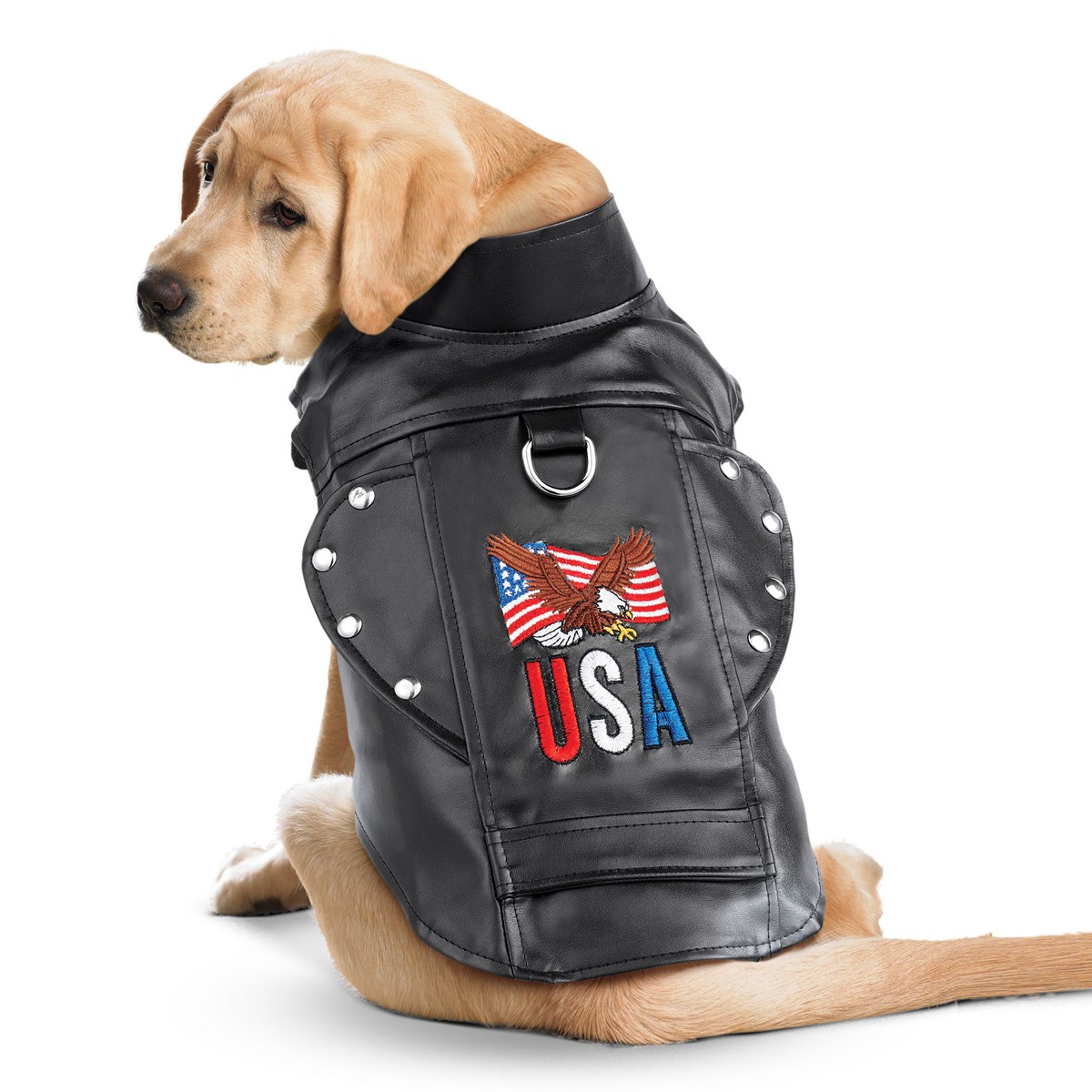 USA Faux Leather Biker Dog Jacket | Collections Etc.