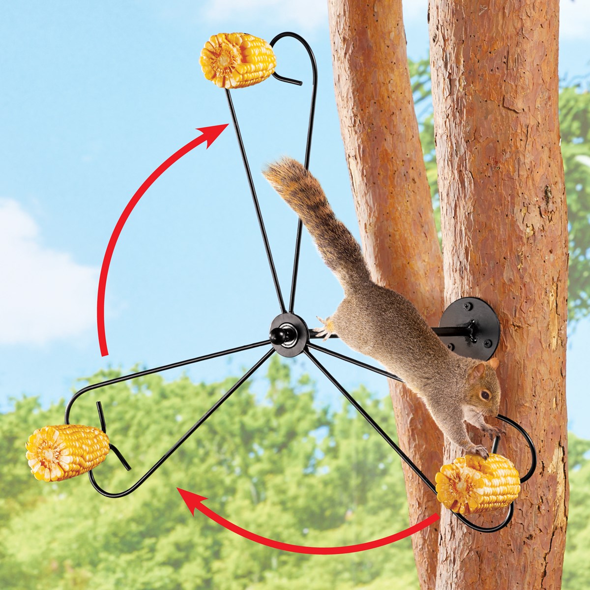 Iron Spinning Squirrel Feeder | Collections Etc.