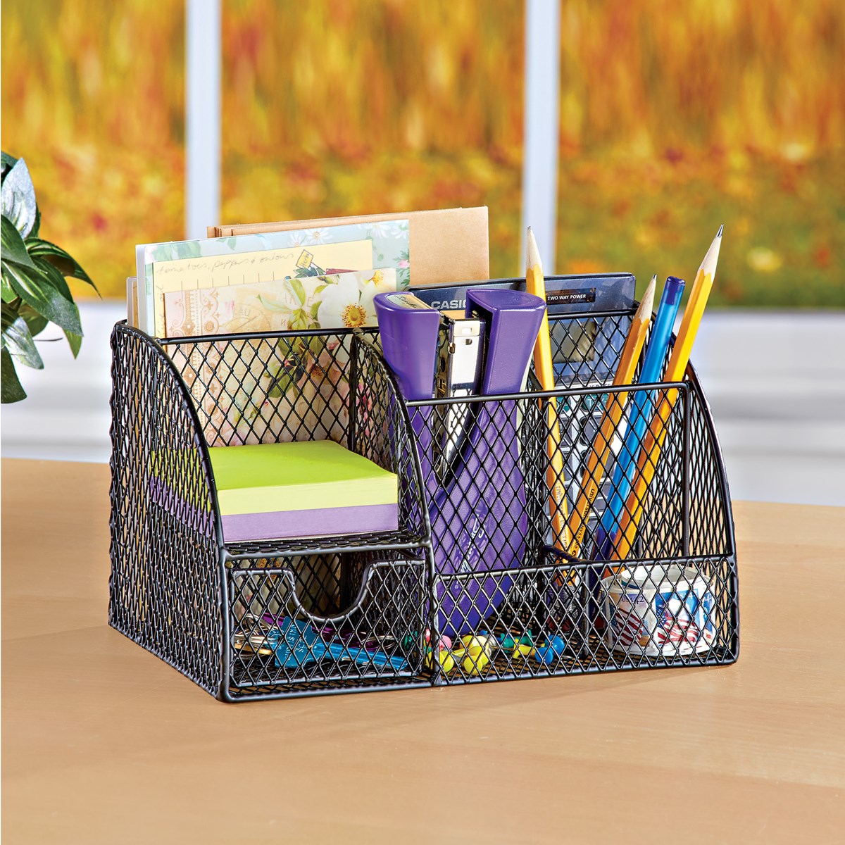 Metal Mesh Desktop Organizer with Drawer | Collections Etc.