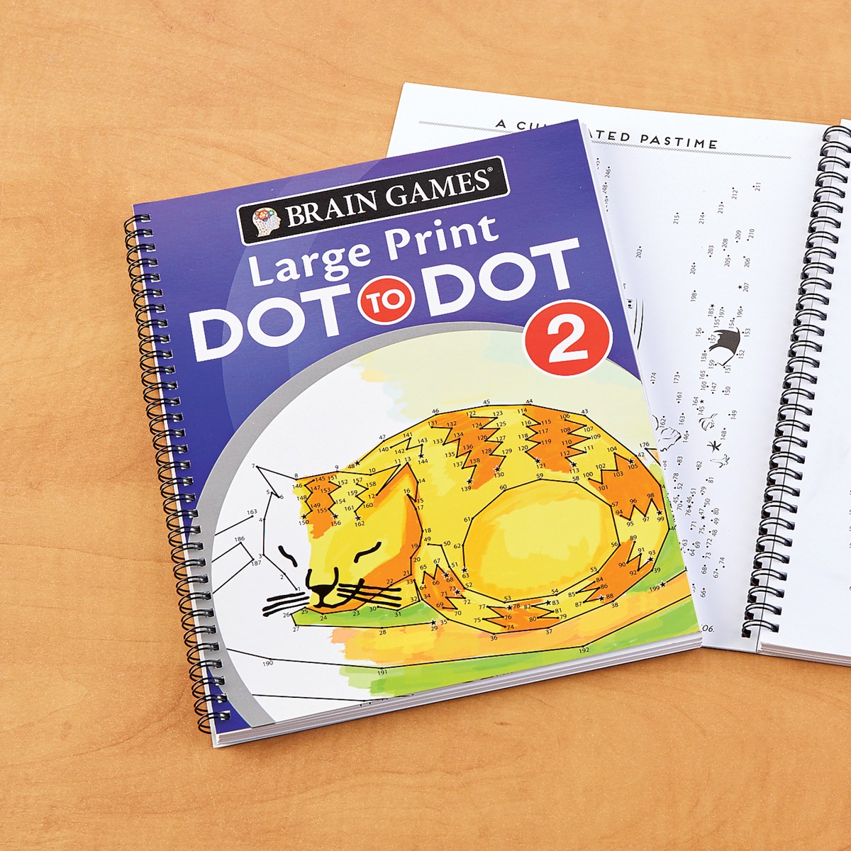 Brain Games Large Print Dot to Dot 2nd Version | Collections Etc.