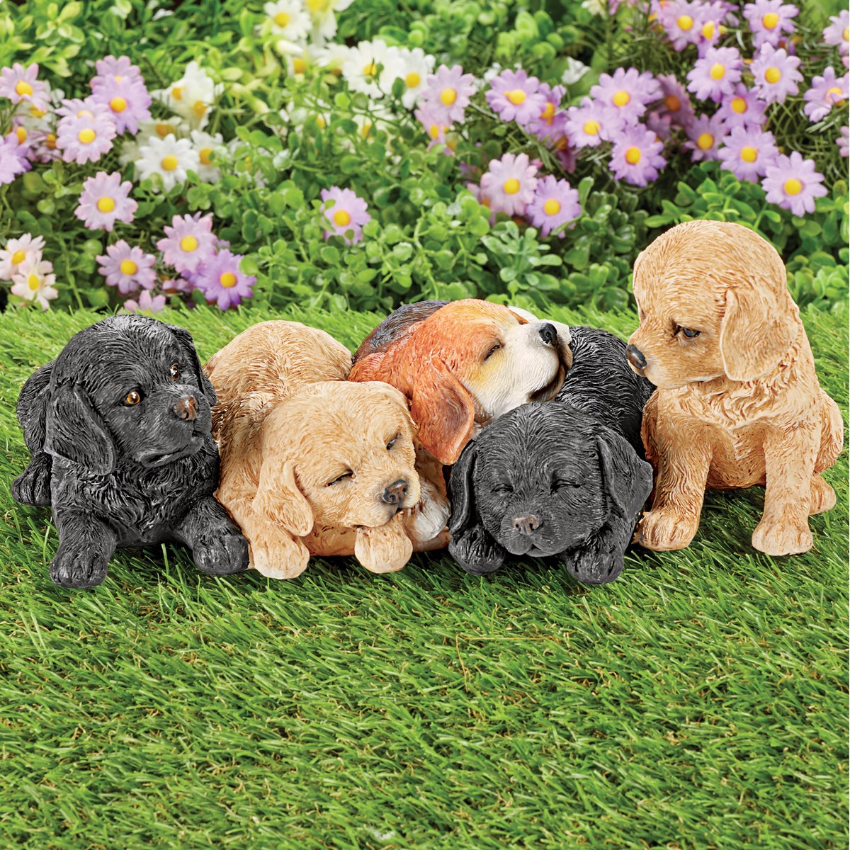 Happy Puppies | Collections Etc.