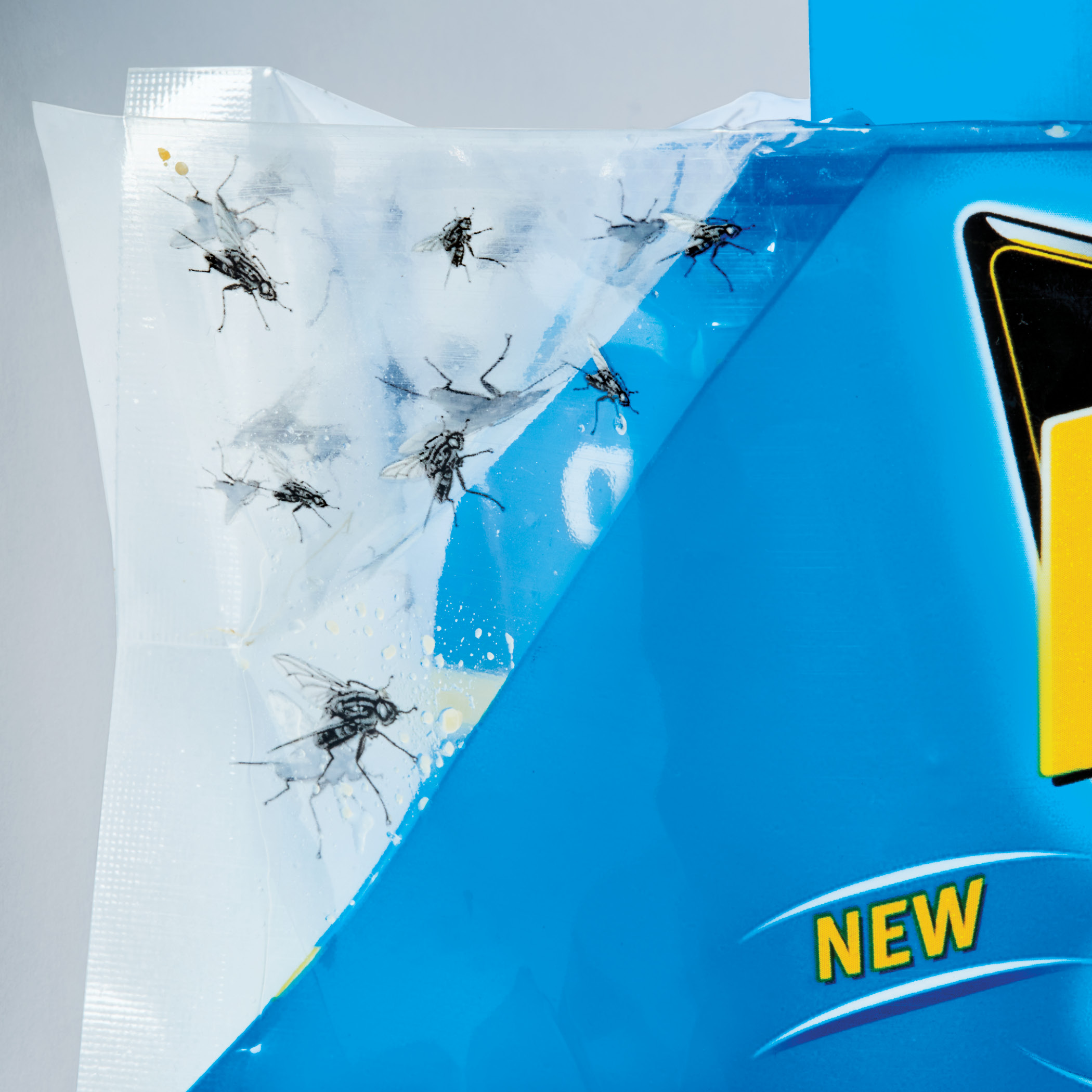 Collections Etc PIC TRAP FLY DISPOSABLE