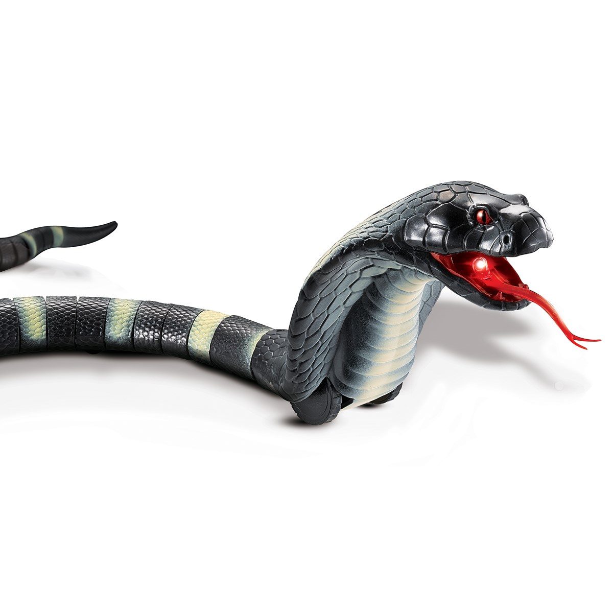 Black and White Slithering Remote Control Snake Toy | Collections Etc.