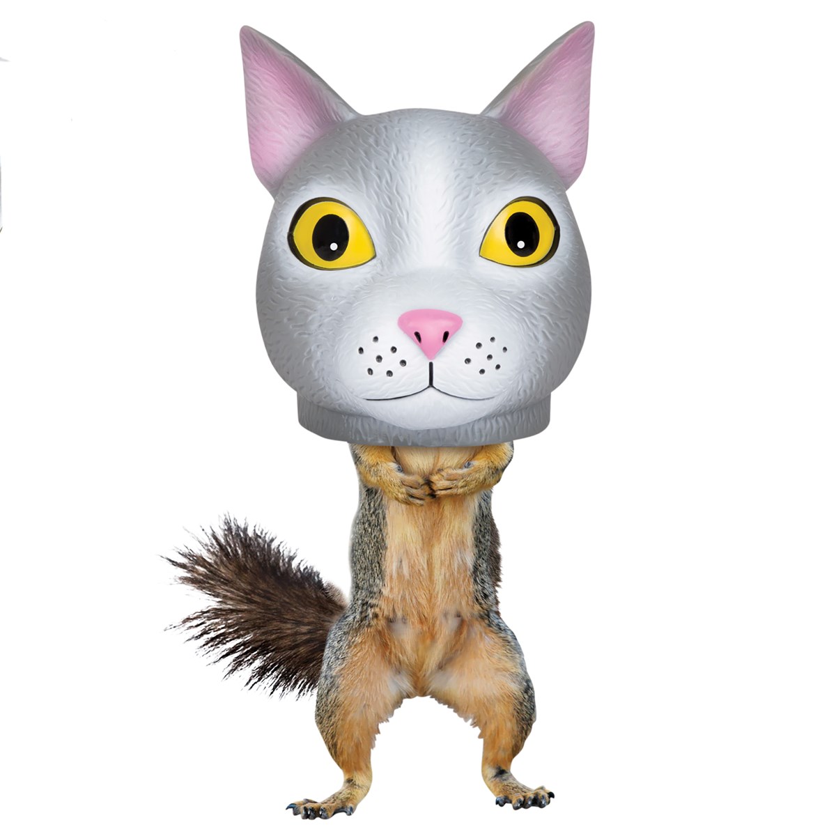 Hilarious Hanging Hollow Cat Head Squirrel Feeder | Collections Etc.