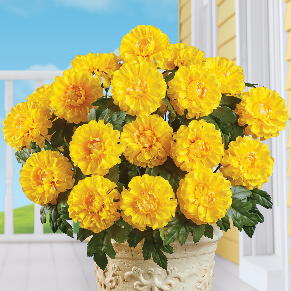 Marigold Mixed Arrangement Bushes - Set of 3 | Collections Etc.