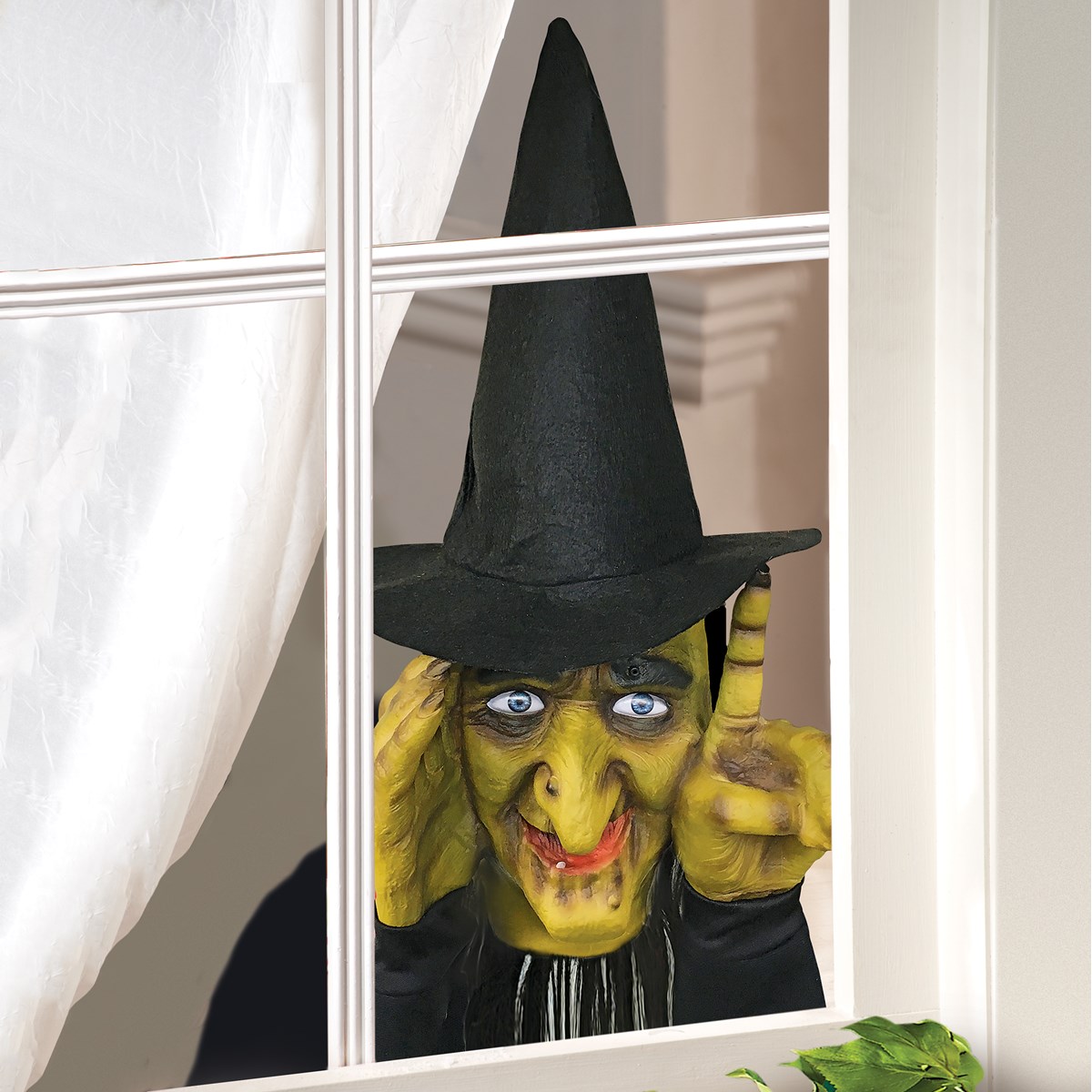 Motion-Activated Tapping Witch Peeper | Collections Etc.