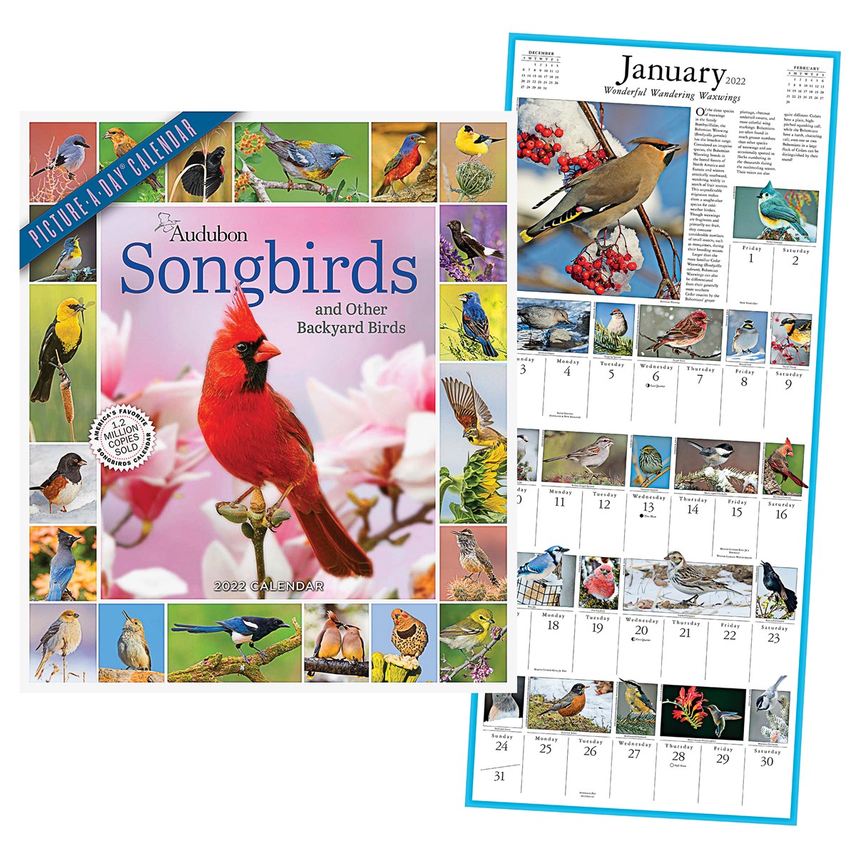 Audubon Songbirds Picture-A-Day 2022 Wall Calendar | Collections Etc.