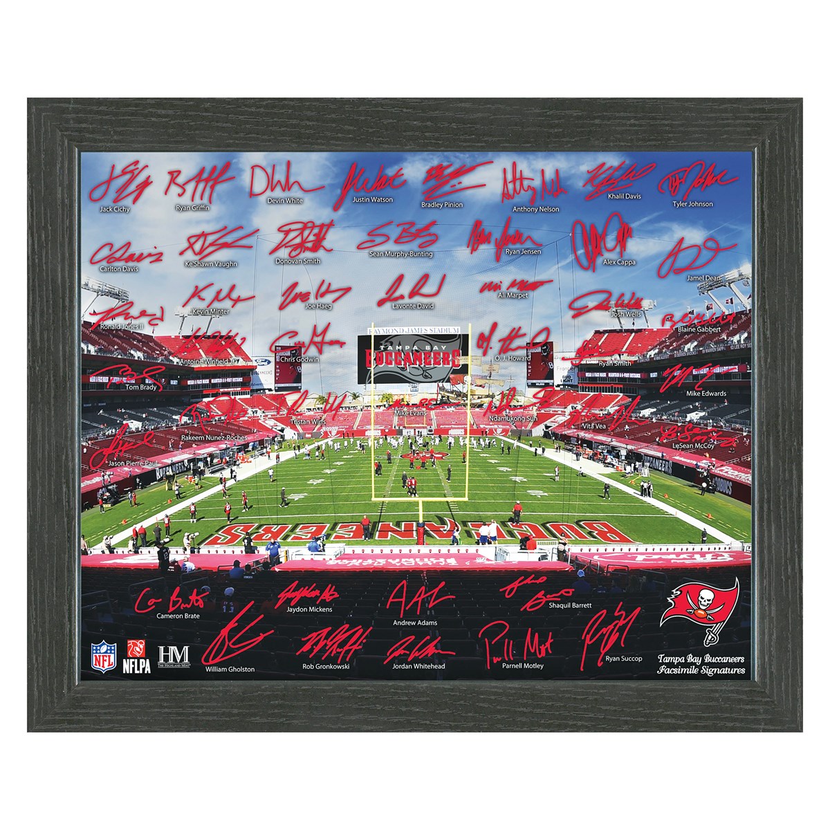 Framed NFL Team Stadium Photographs with Signatures | Collections Etc.
