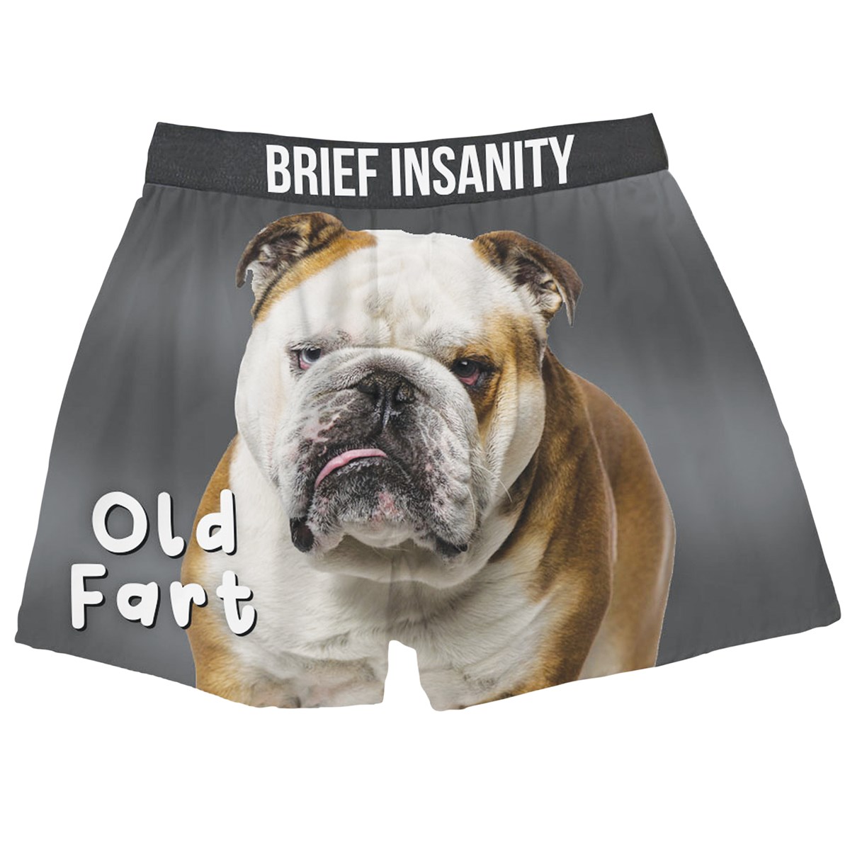 Brief Insanity Polyester Blend Funny Old Fart Boxers | Collections Etc.