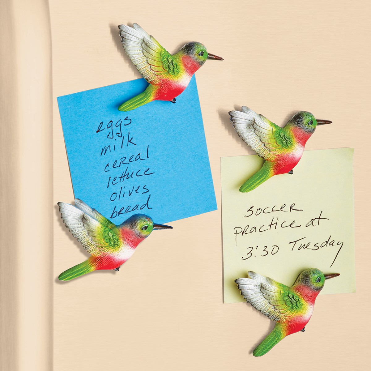 Hand-Painted Hummingbird Kitchen Magnets - Set of 4 | Collections Etc.