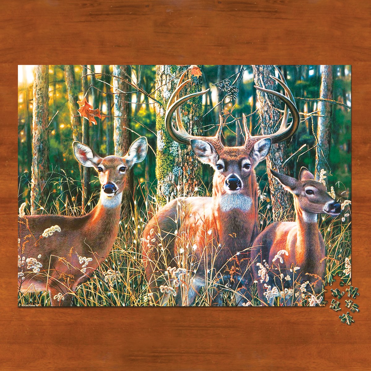 Woodlands Shadow 1,000-Piece Jigsaw Puzzle | Collections Etc.