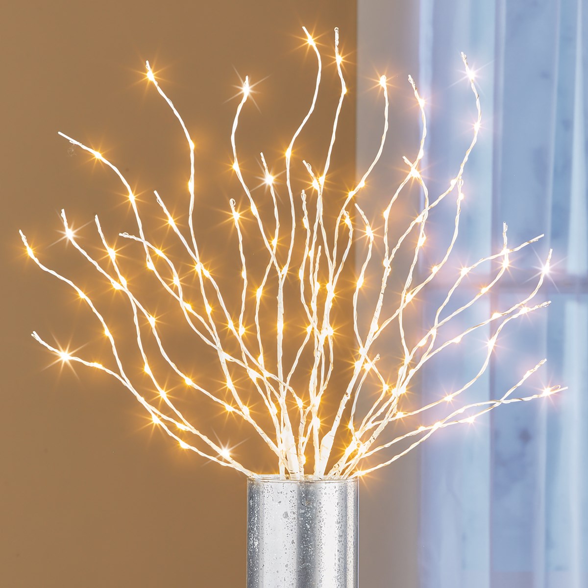 LED Lighted Birch Branch Set with Timer | Collections Etc.