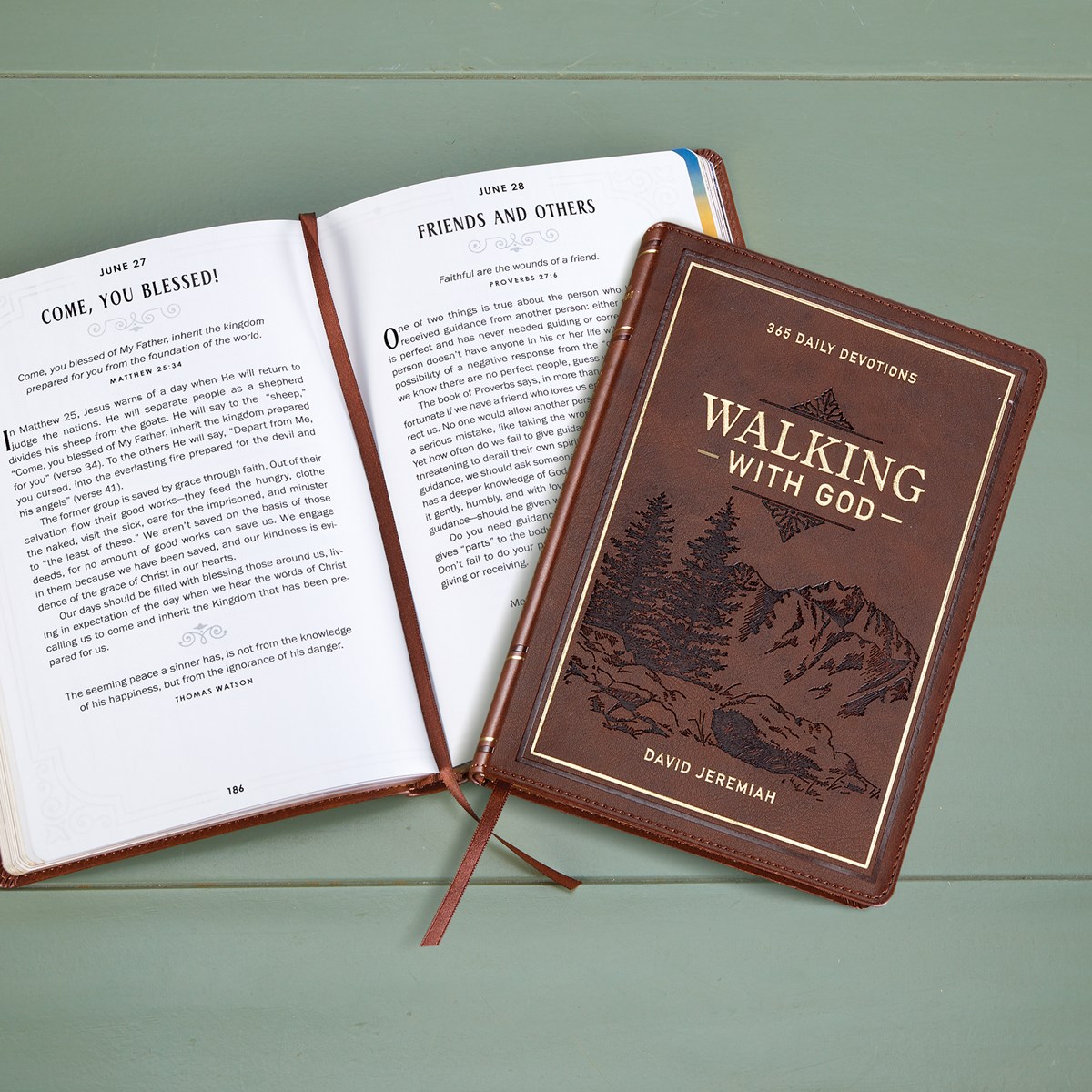 Walking with God Daily Devotional Book | Collections Etc.
