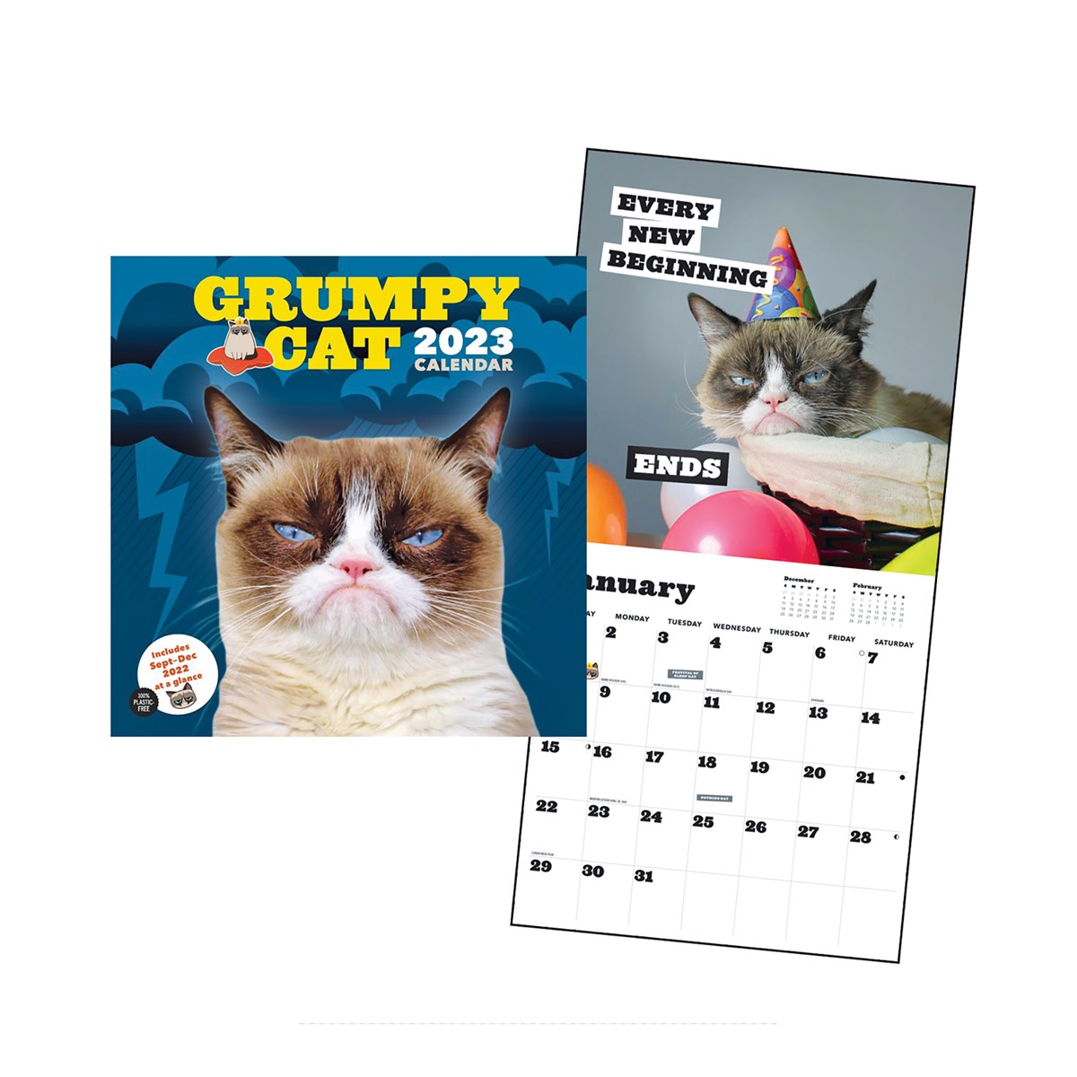 2023 Hilarious Grumpy Cat 16-Month Wall Calendar | Collections Etc.