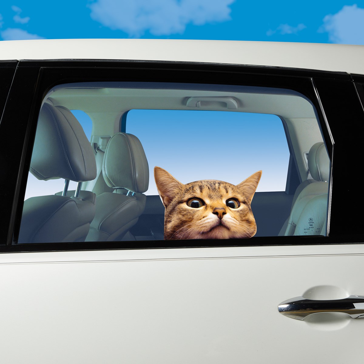 Whimsical Cat Face Vinyl Window Decal | Collections Etc.