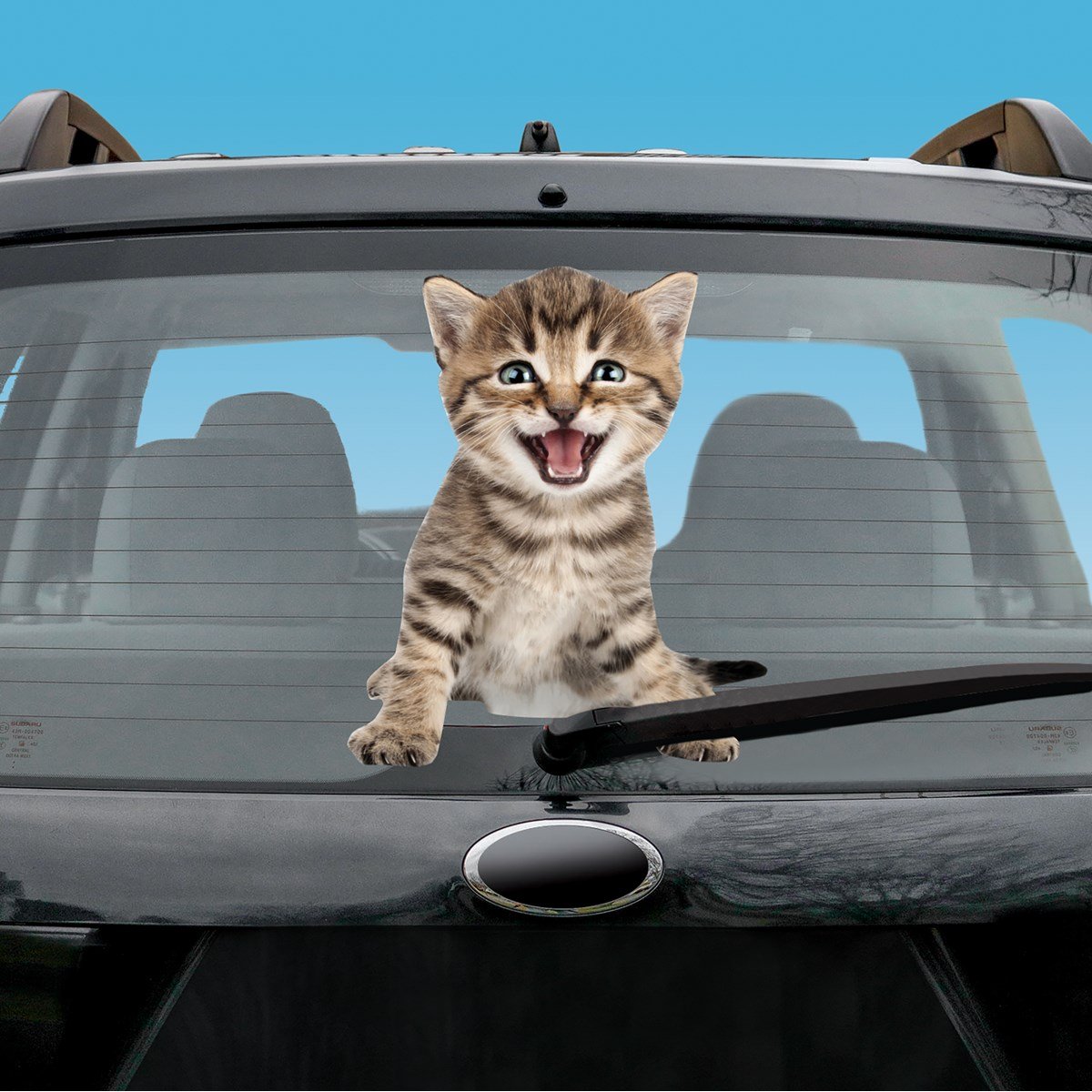 Whimsical Kitten Vinyl Car Window Decal Collections Etc