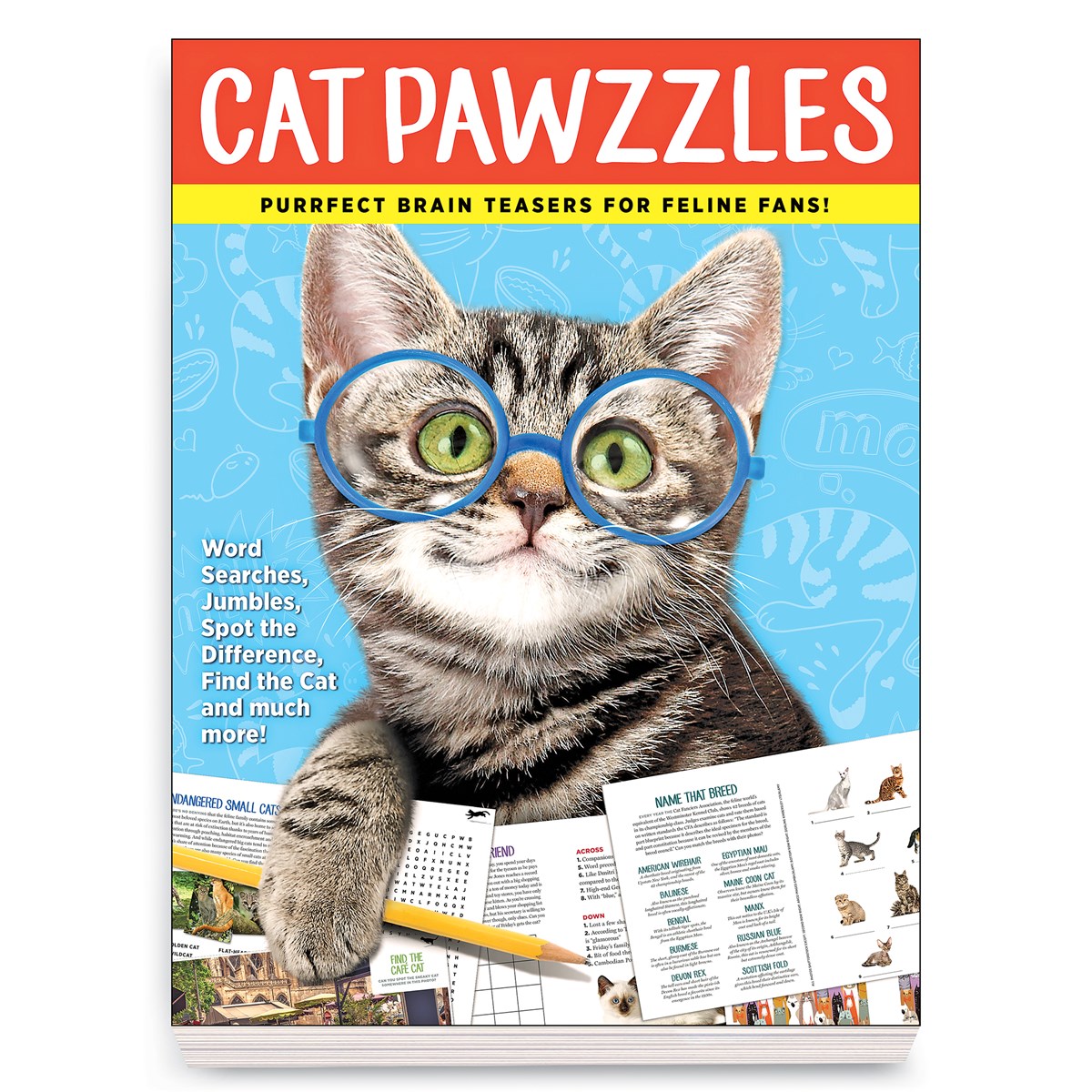 Cat Pawzzles Purrfect Brain Teasers Puzzle Book | Collections Etc.