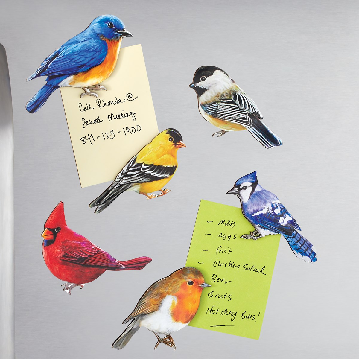 Detailed Wooden Bird Refrigerator Magnets - Set of 6 | Collections Etc.