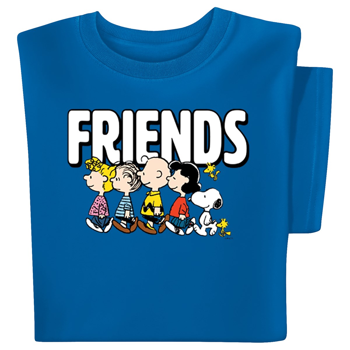 Peanuts Friends Short Sleeve Graphic T-Shirt | Collections Etc.
