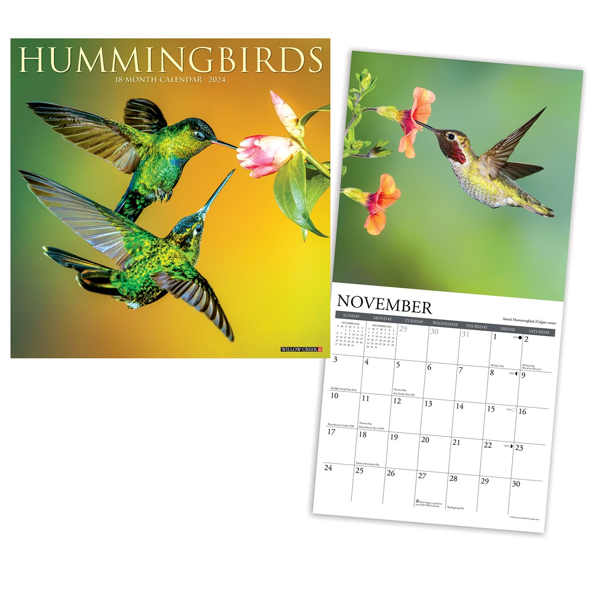 2024 Hummingbirds 18-Month Wall Calendar | Collections Etc.