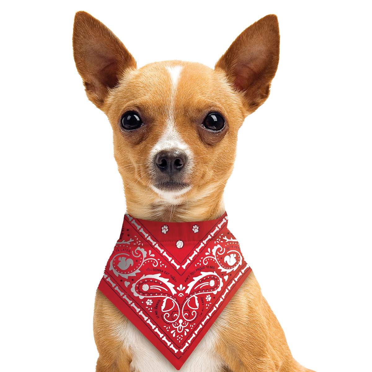 Reflective Ink Pattern Red Dog Bandana | Collections Etc.