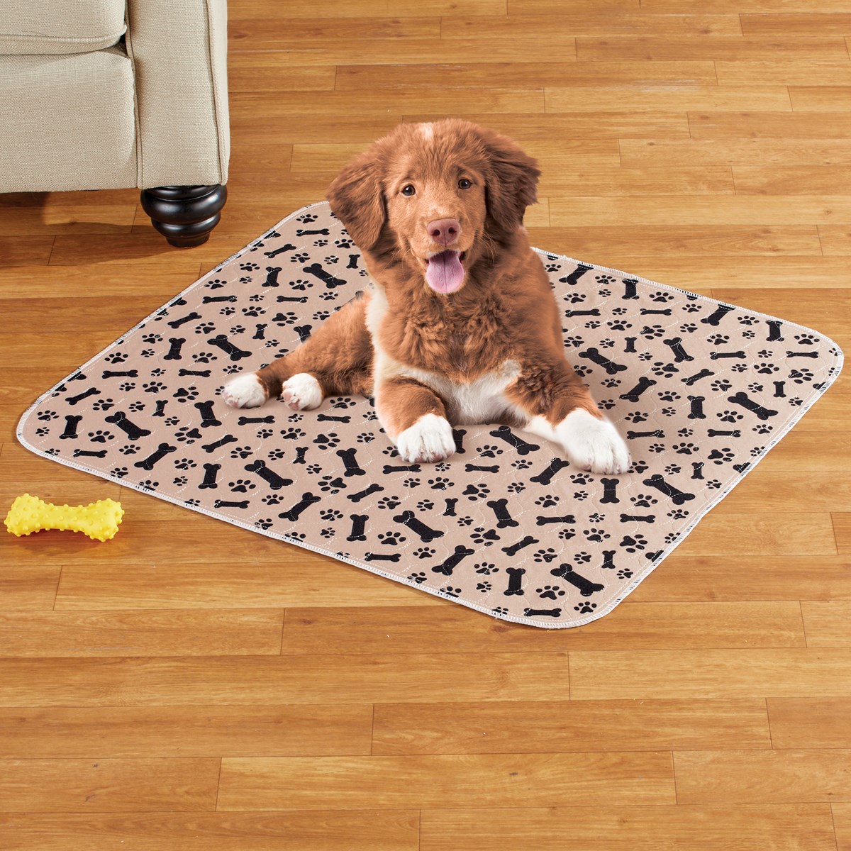 Paw Print and Bone Design Waterproof Pet Mat | Collections Etc.