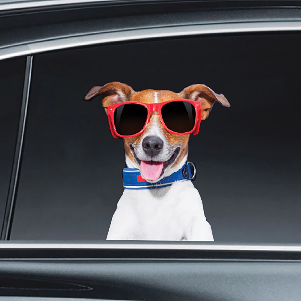 Playful Dog with Sunglasses Window Decal | Collections Etc.