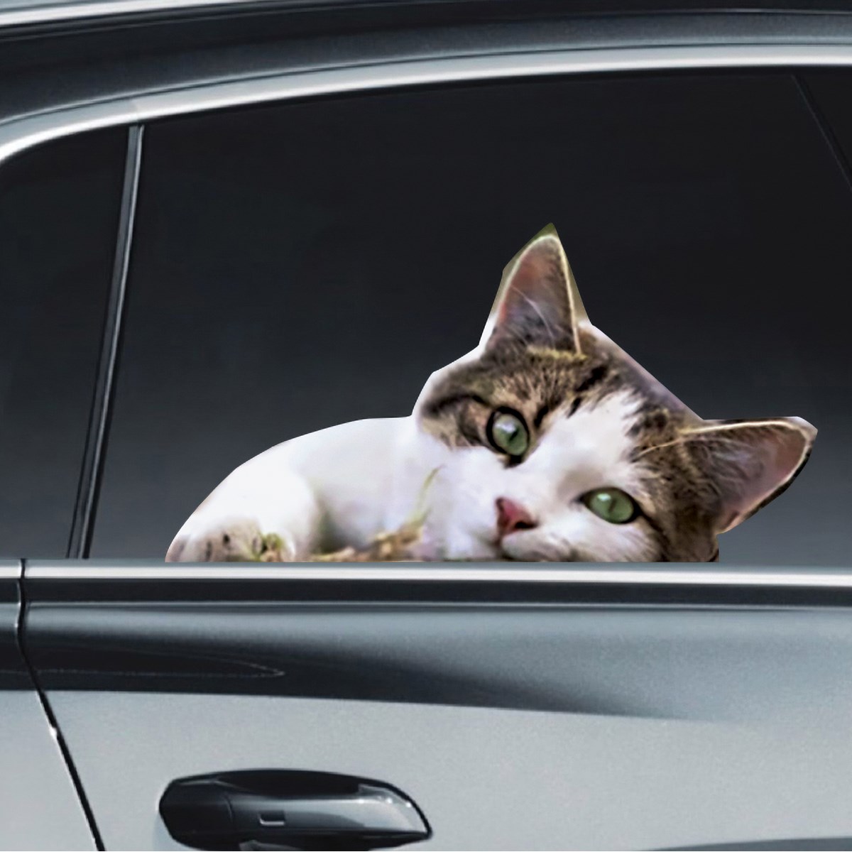 Reusable Lazy Cat Vinyl Car Window Decal | Collections Etc.