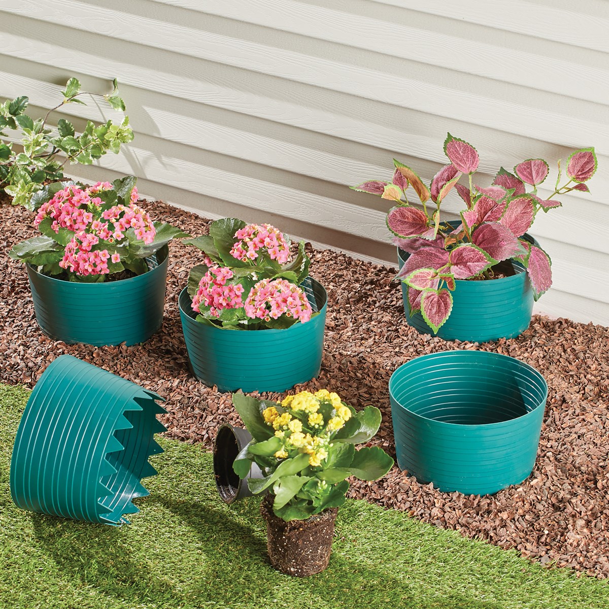 Protective Plant Rings with Teeth - Set of 5 | Collections Etc.