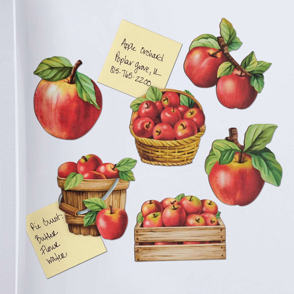 Charming Colorful Apple Wooden Magnets - Set of 6 | Collections Etc.