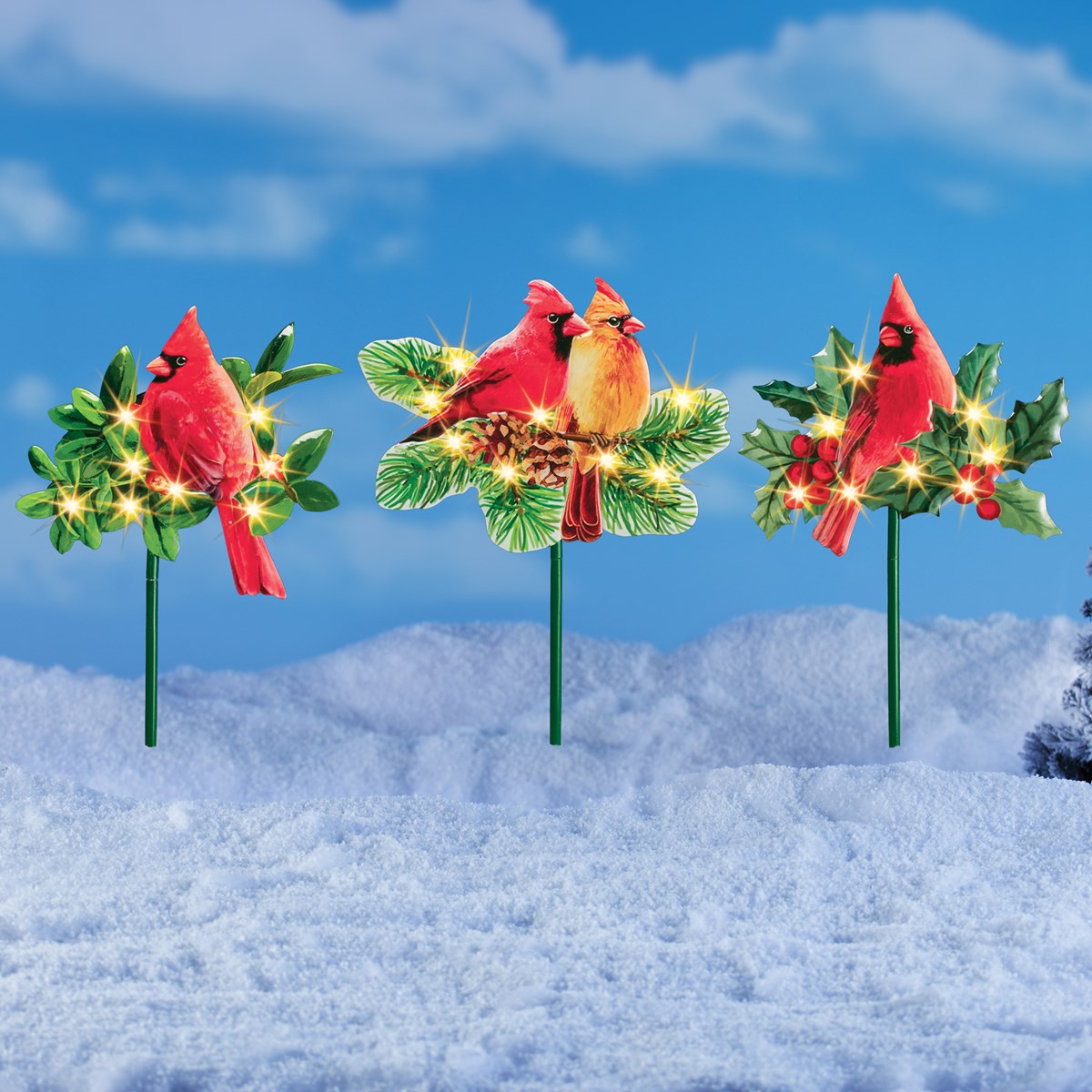 Solar Powered 3-Piece Cardinal Outdoor Garden Stakes | Collections Etc.