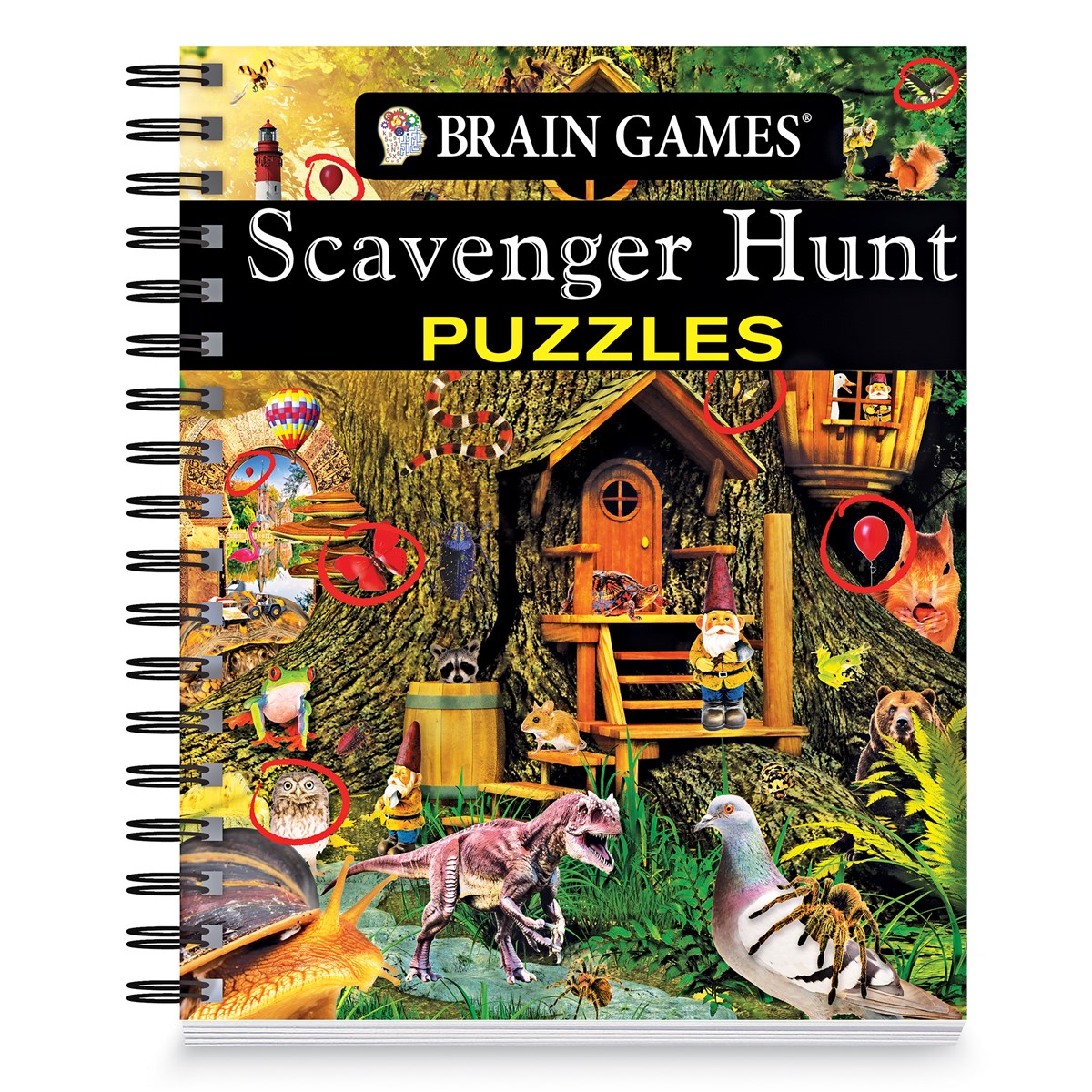 Brain Games Scavenger Hunt Puzzles Book, 70 Puzzles | Collections Etc.
