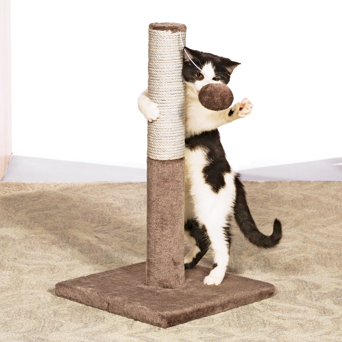 Play and Scratch Interactive Toy Scratching Post | Collections Etc.